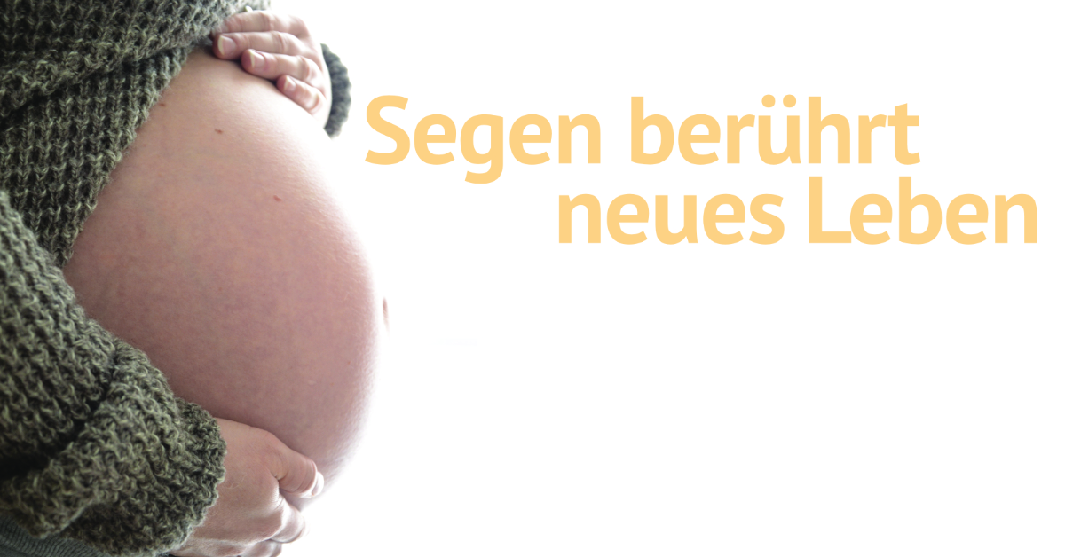 Detail - Arbeitsstelle Bildung und Gesellschaft
